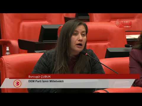Burcugül ÇUBUK - 42. Birleşim | 28/4