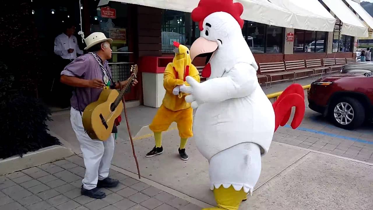Botarga del Pollo Feliz y un Pollito bailan con un Guitarrista Urbano ...