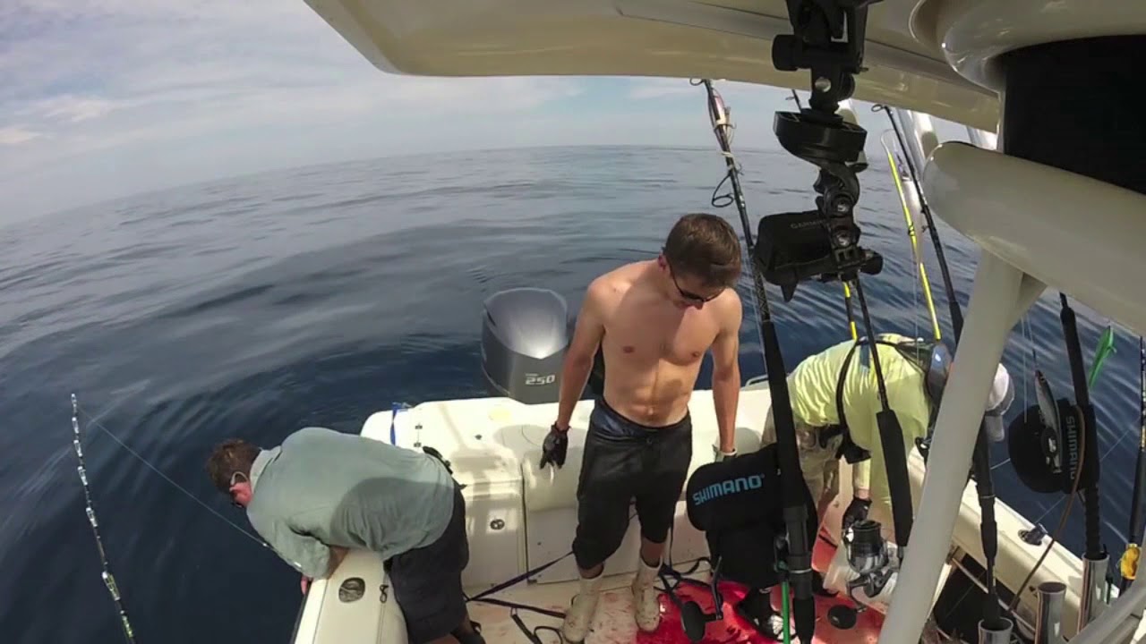 Yellowfin Tuna in West Atlantis Canyon, July 2018 - YouTube