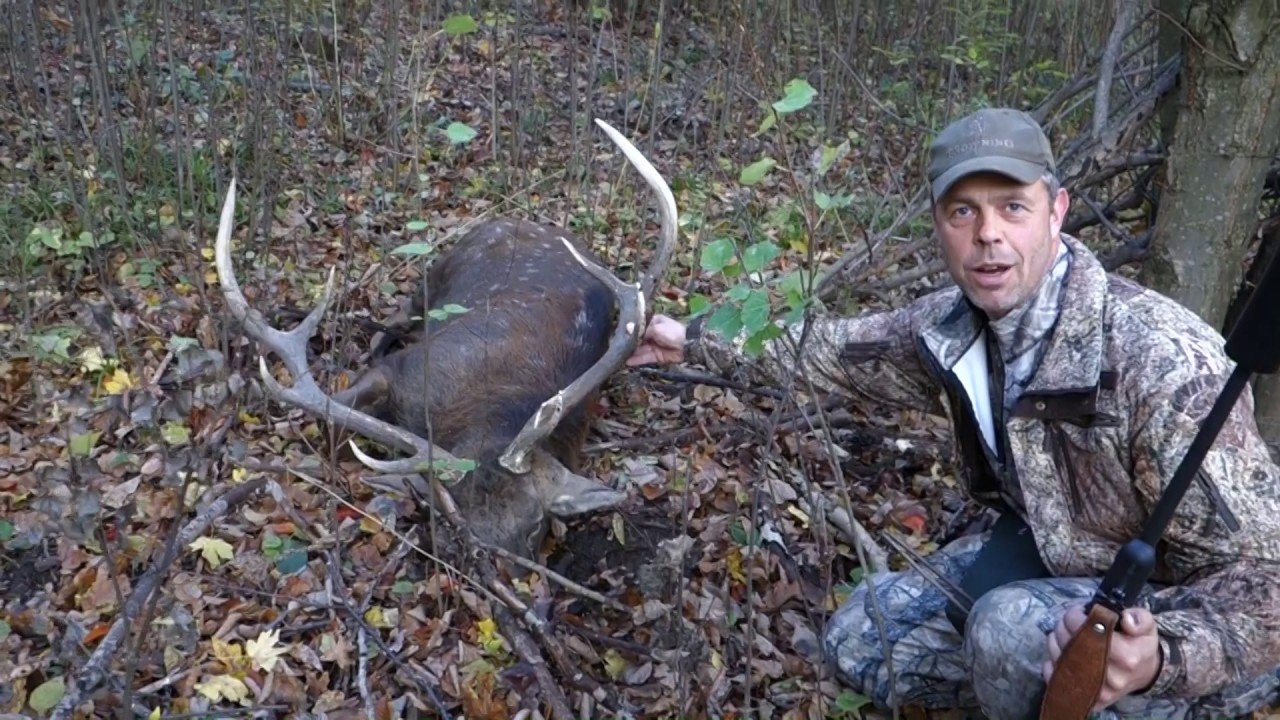 Sika Hunting Ukraine 2016 Christian and Jacob - YouTube
