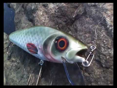 new homemade crankbaits - YouTube