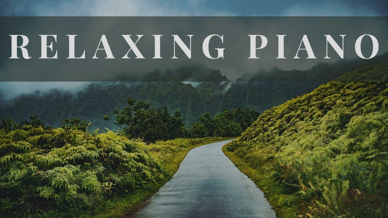 Relaxing Piano Music with Rain and Forest Sounds for Sleep, Meditation ...