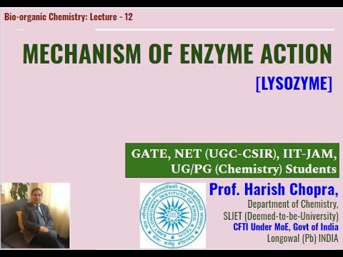 Mechanism of Enzyme Action (LYSOZYME) | Prepare for GATE, JAM, NET ...