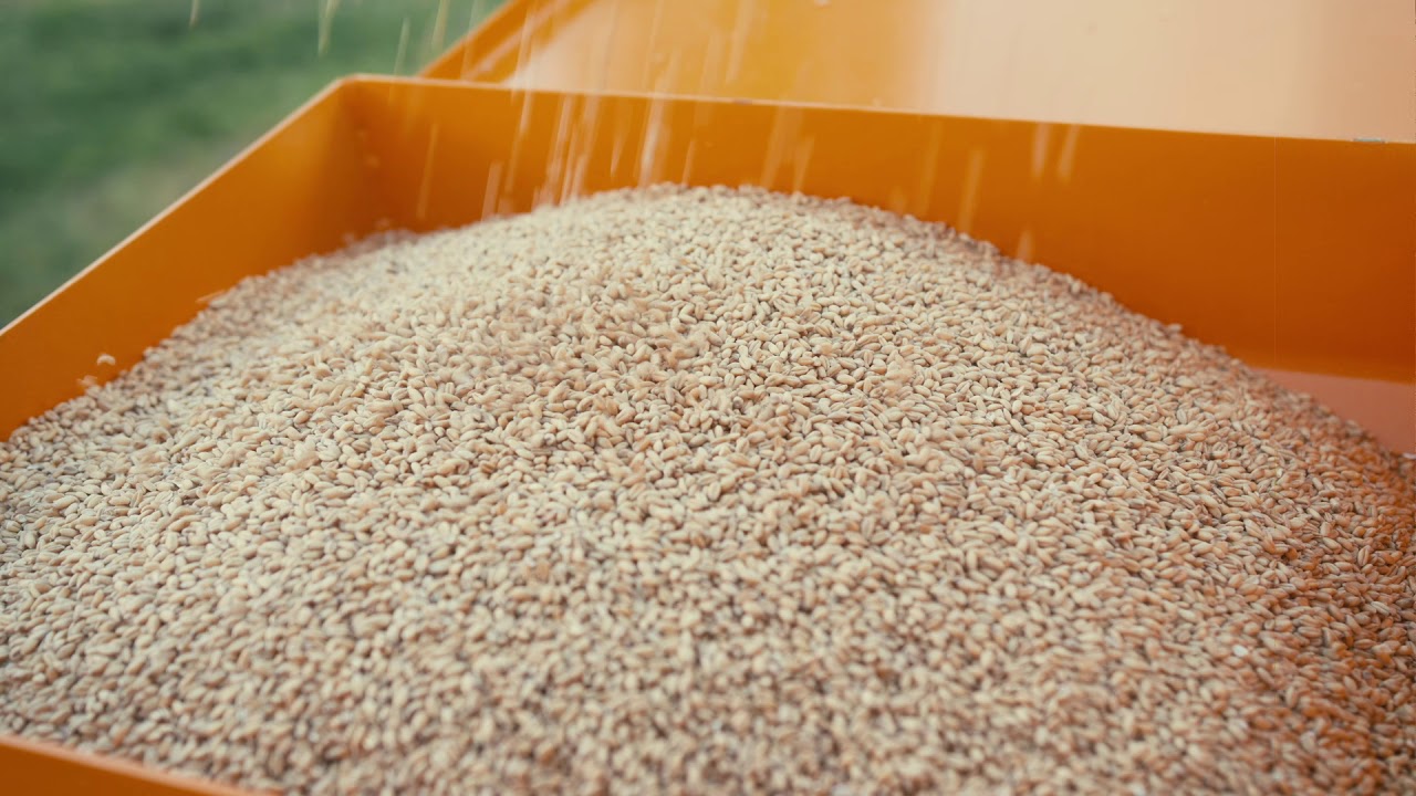 ROLLER MILL YouTube roller-mill-youtube