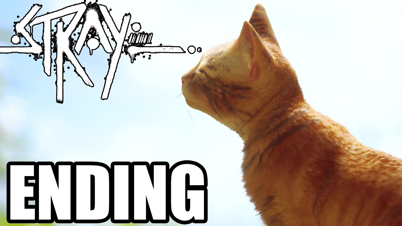 Stray Ending & Credits - Gameplay Walkthrough Part 4 (PS5) - YouTube