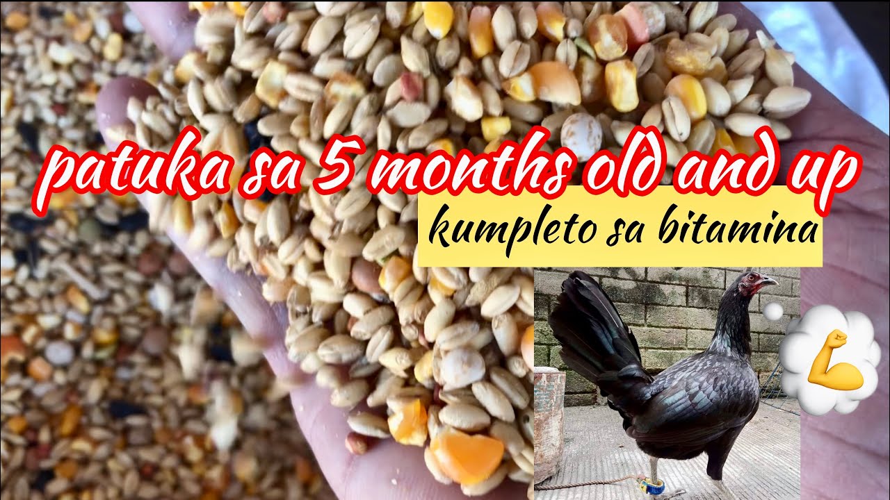 patuka sa 5 months old and up / sagana sa bitamina - YouTube