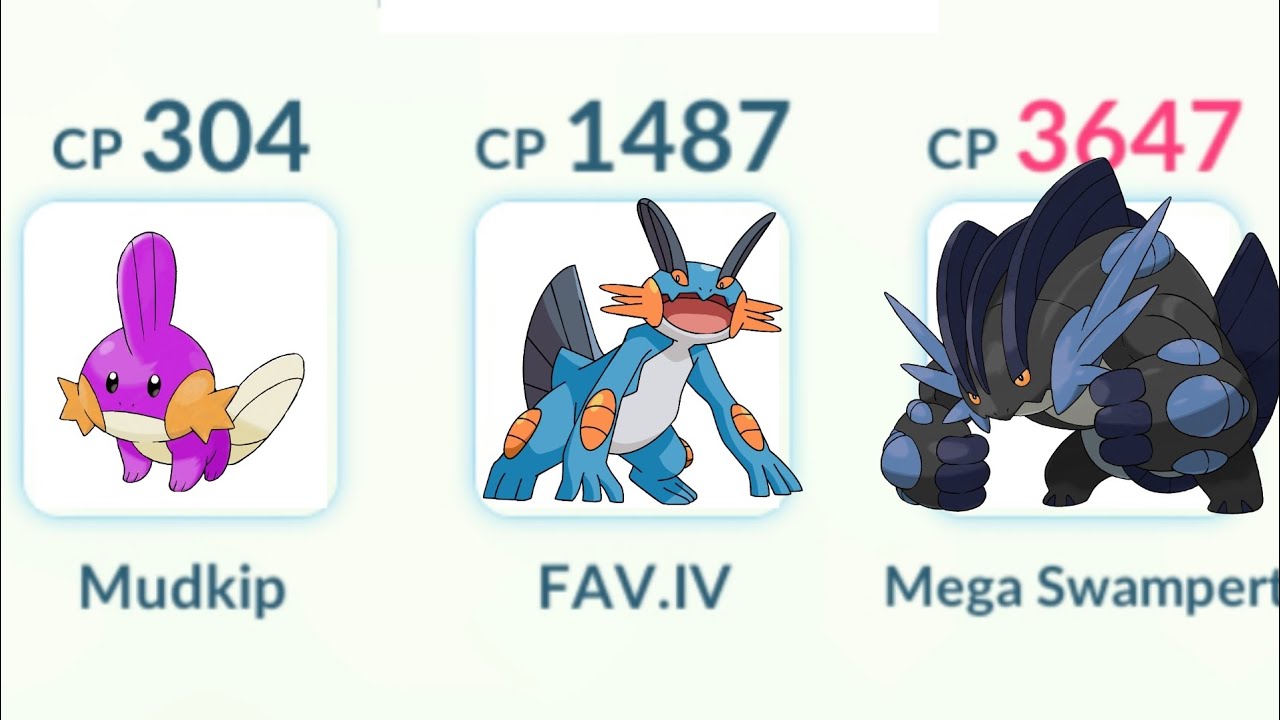 Who Will Win 🤔 Mega Swampert Evolution Line Up Vs Team Rocket Leader