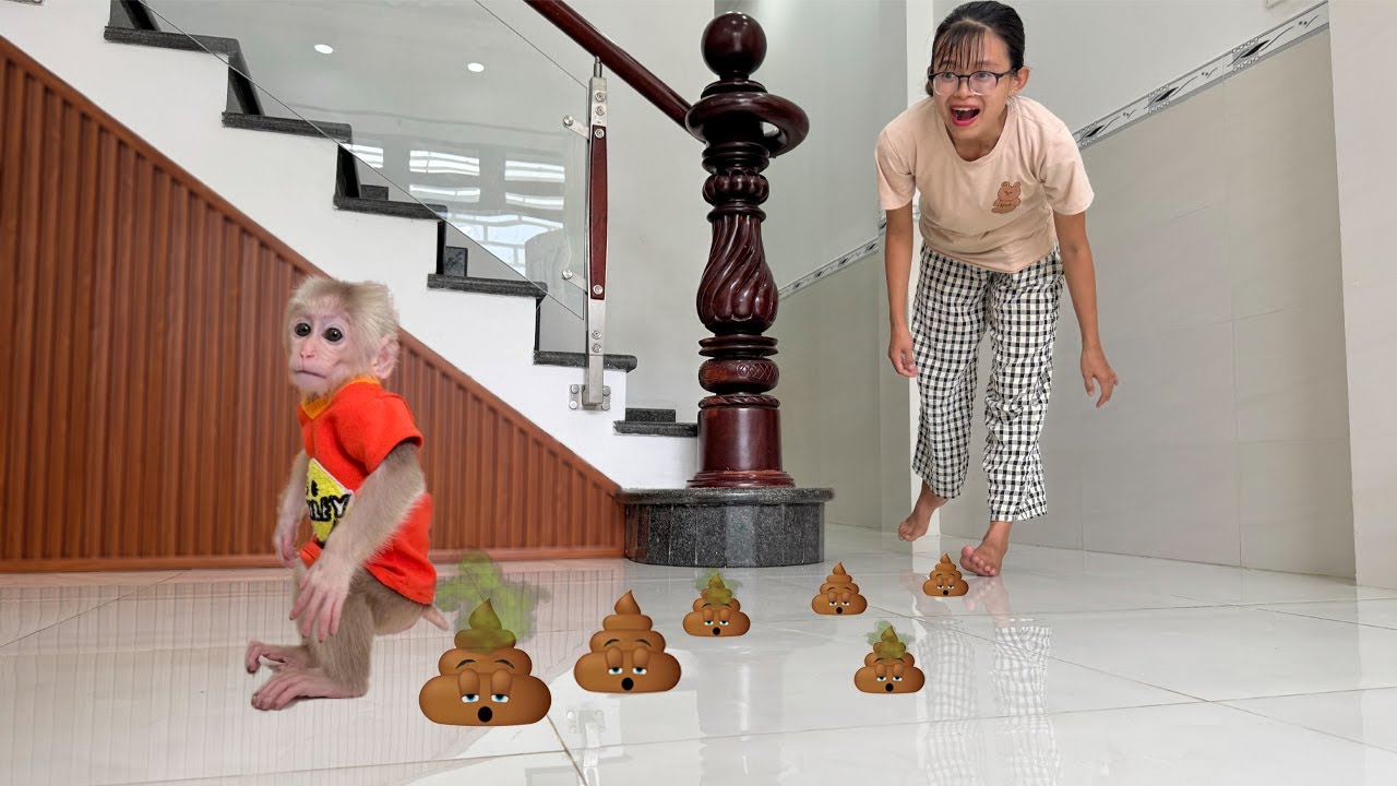 So Funny! Mischievous Lucky Poops All Over the House, Making Mom ...
