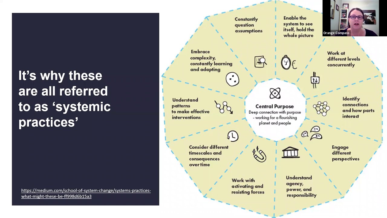 Introduction to complexity and systems thinking - YouTube