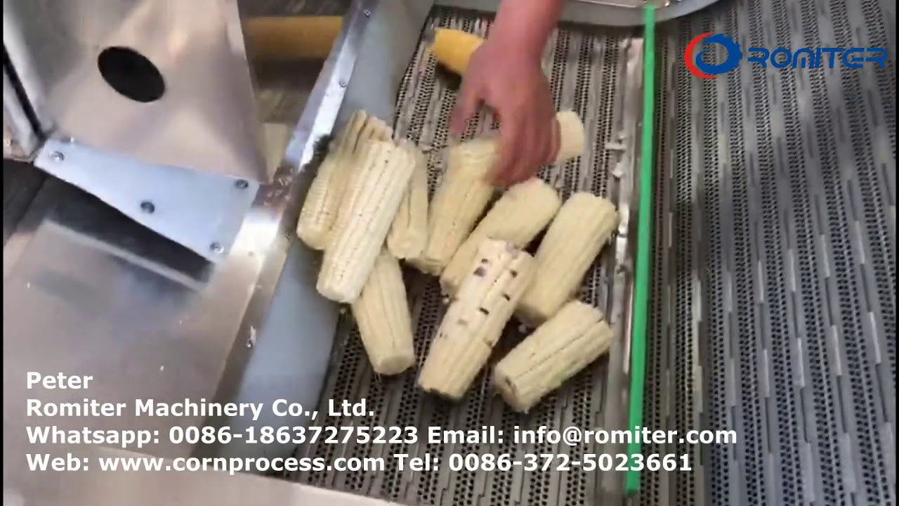 Automatic Corn Head Cutting Machine with Separating Function - YouTube