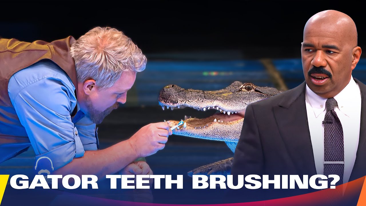 Brushing the Teeth of a Real Alligator?! | Steve Harvey - YouTube