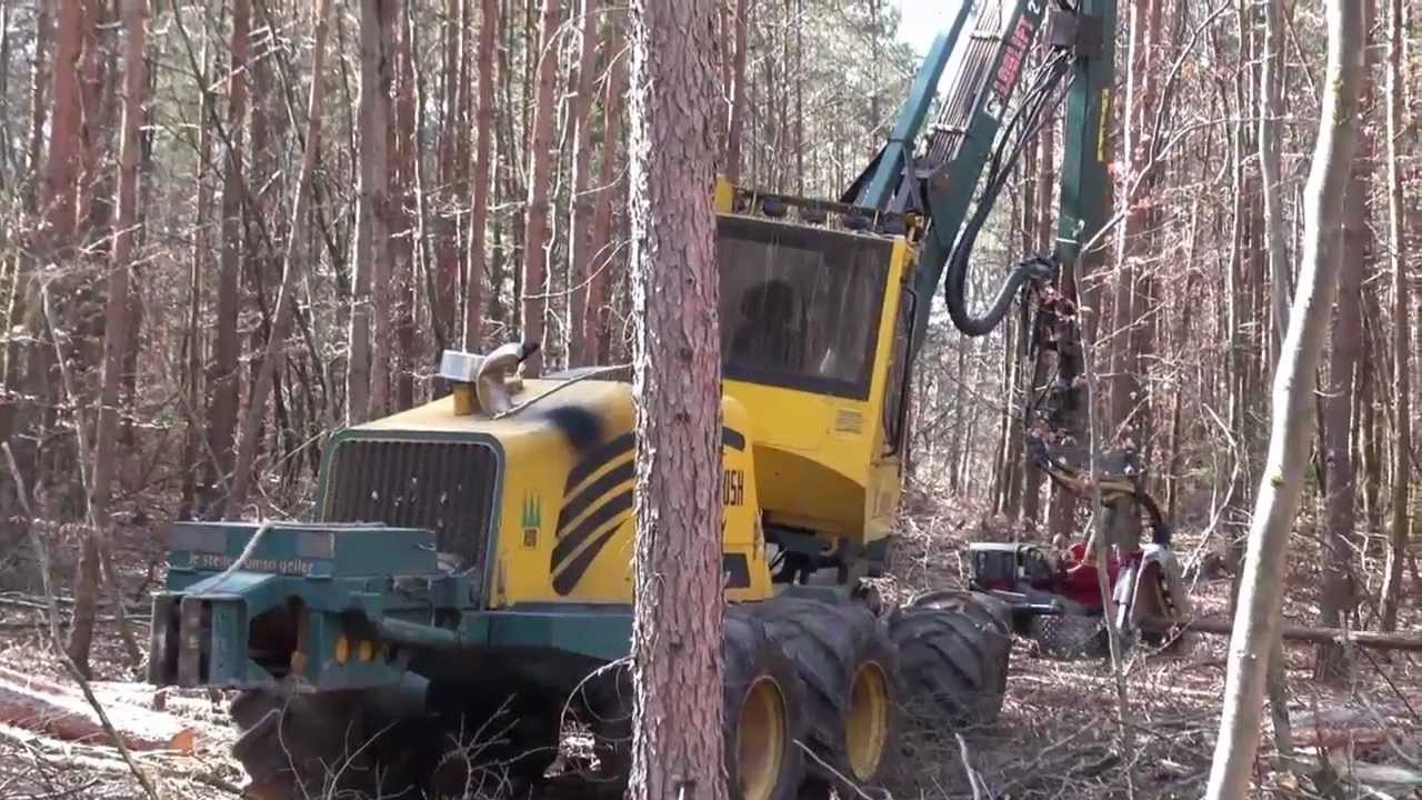 Clip 2/6 Vollernter HSM Harvester im Dahner Felsenland Germany - YouTube