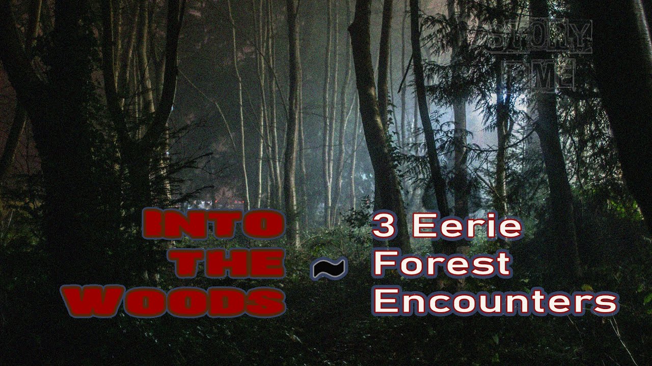 Into the Woods - 3 True and Truly TERRIFYING Creepy Forest Encounters | STORYTIME COMPILATION ...