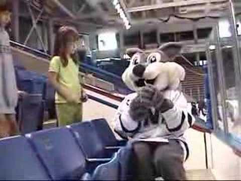Wild E. Cat UNH Mascot - YouTube