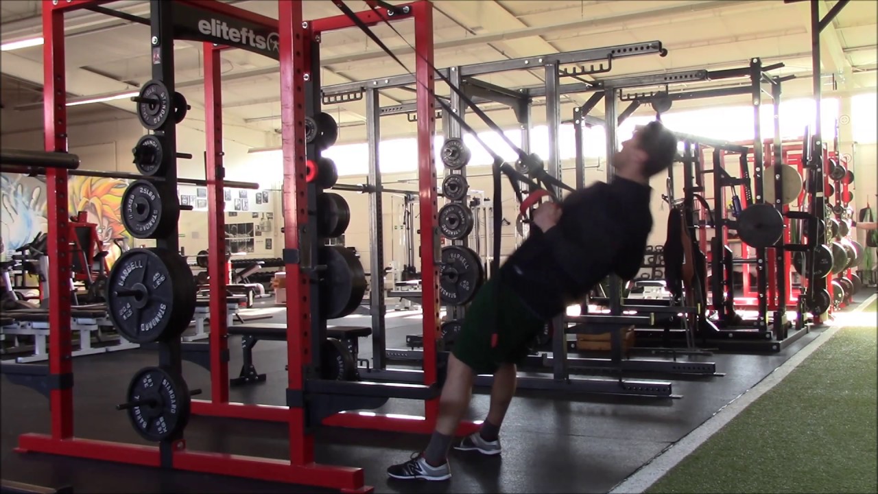 Suspension Row | Richtige Technik & Ausführung - YouTube