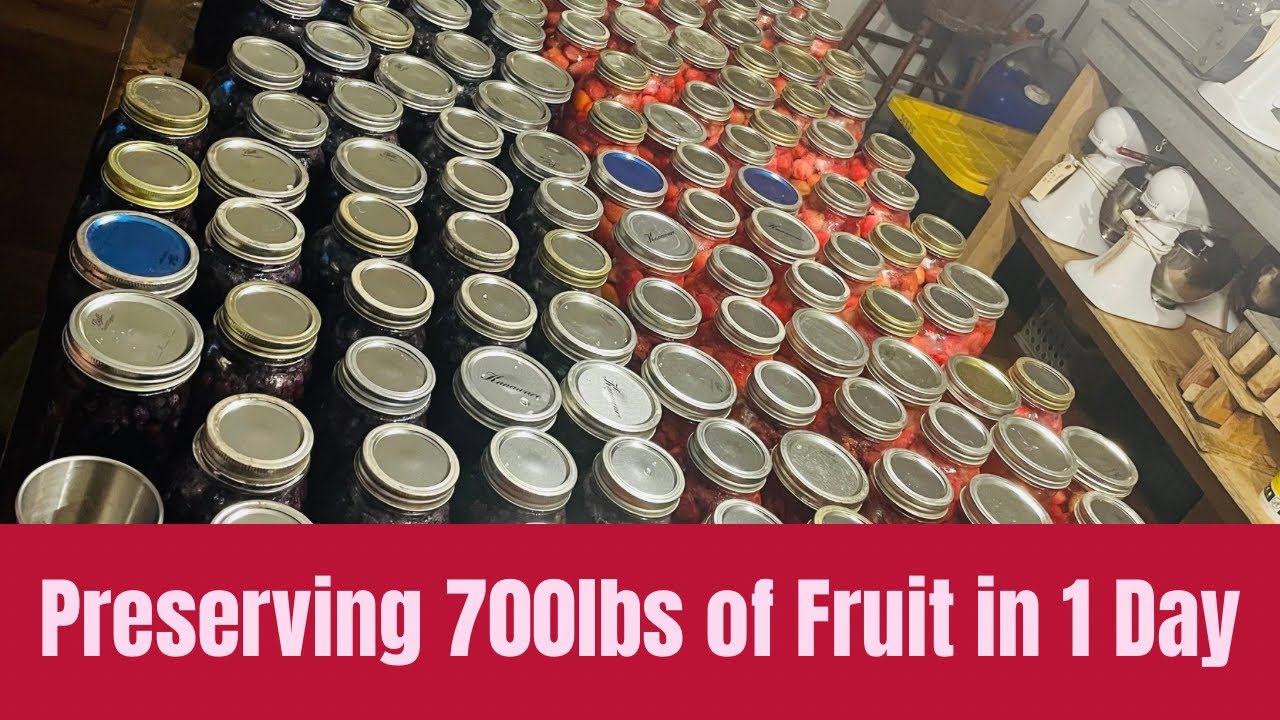 Preserving 700lbs of Berries in 1 Day - How to Can Berries - Bulk ...