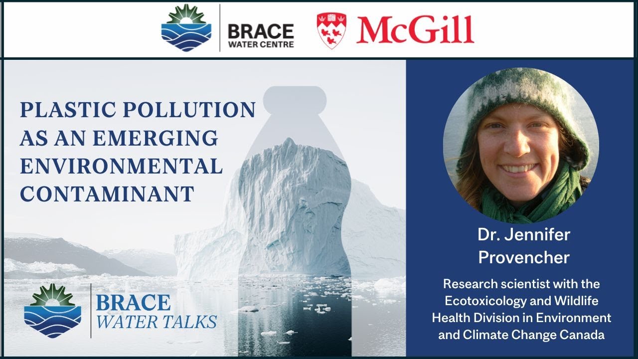 BRACE water talk: "Plastic pollution as an emerging environmental ...