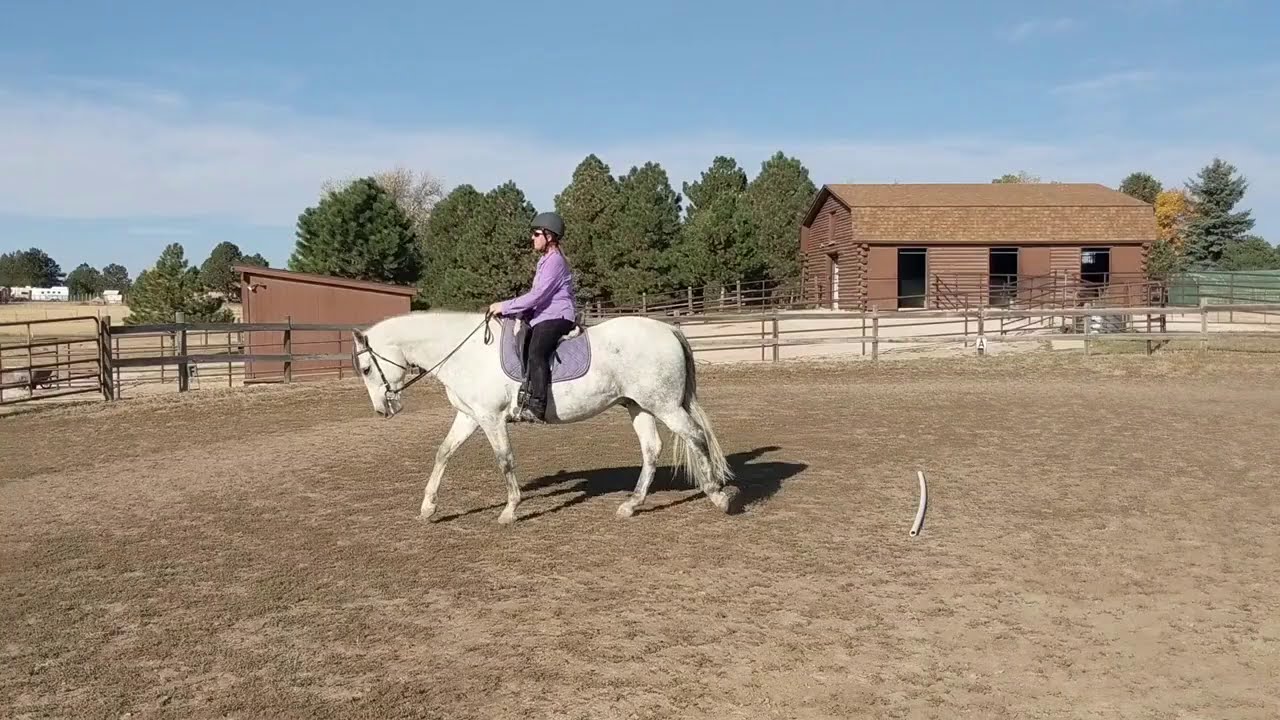5min Exercise Bow Tie Over a Single Pole - YouTube