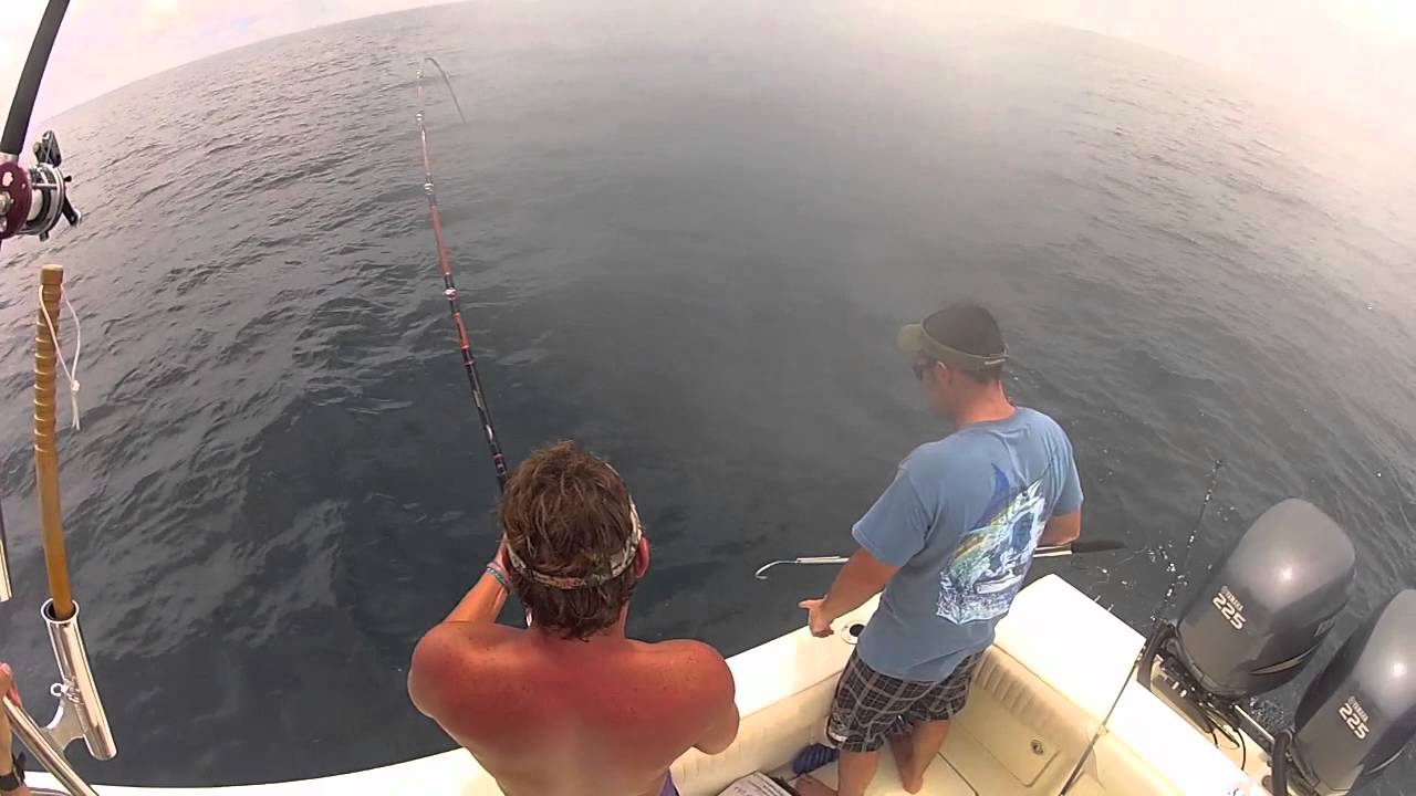 Red Snapper and shark Fishing PCB, FL - YouTube
