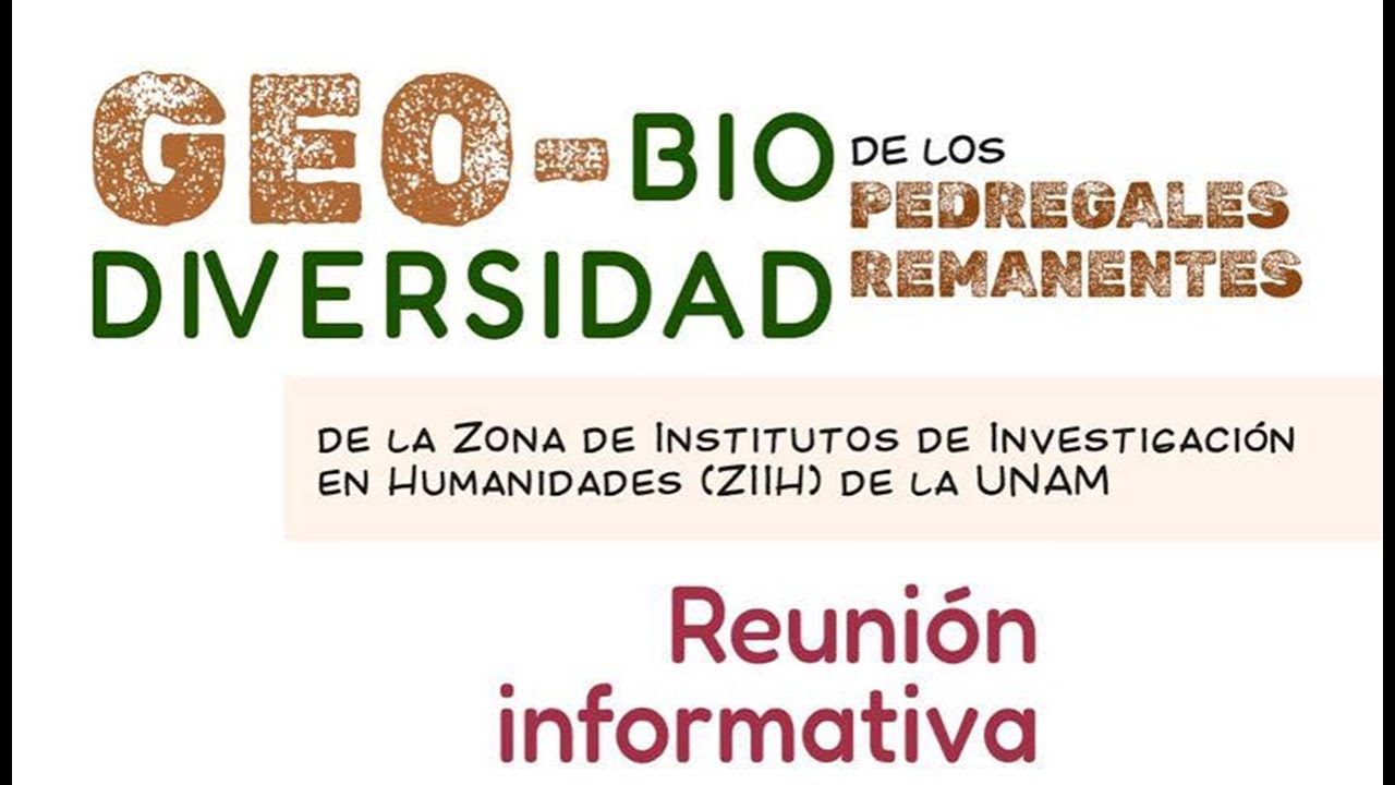 Geo-biodiversidad de los pedregales remanentes de la zona de Inst. de ...