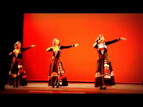 Gürcü Halk Dansı   Georgian Dance 1 Davladze