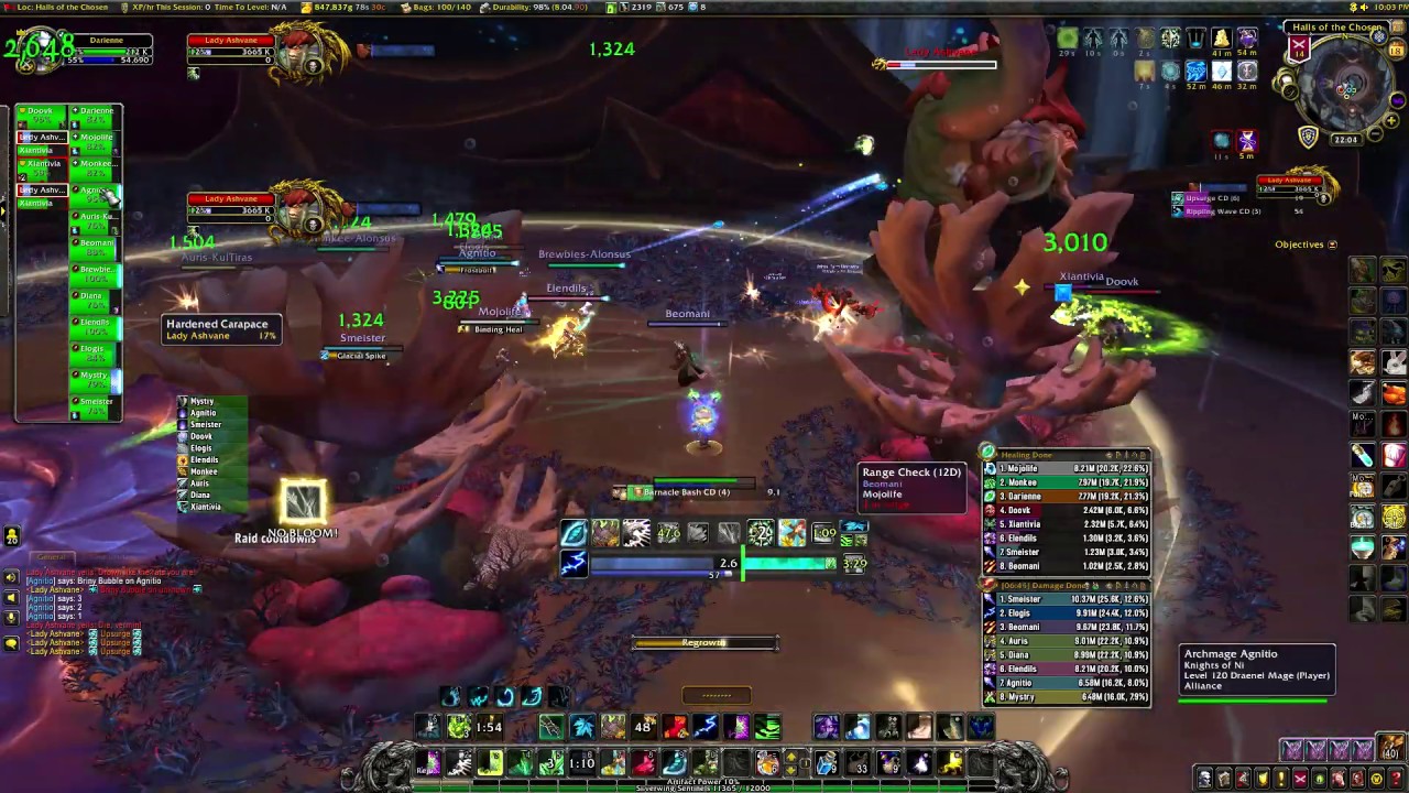 Knights of Ni-Anachronos; Lady Ashvane Normal - YouTube