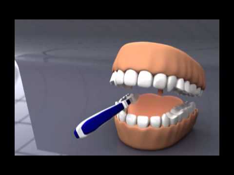 Animação 3D Escovando os Dentes.wmv