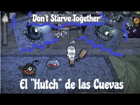 El "HUTCH" (Chester) de las Cuevas de Don't Starve Together #dst # ...