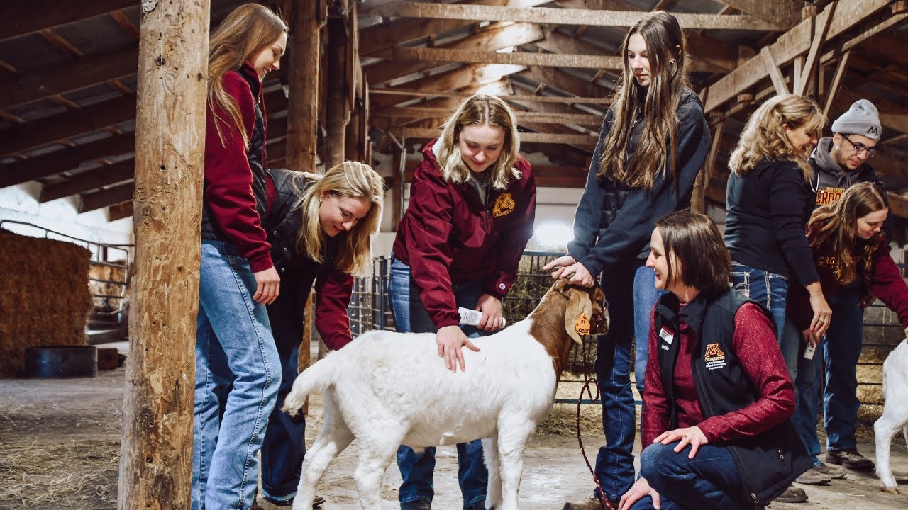 Explore our Animal Science Program - YouTube