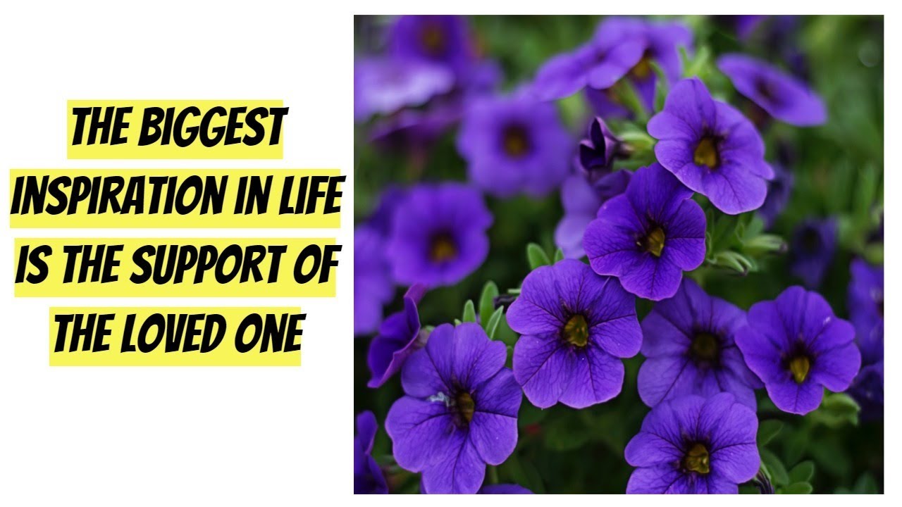 The biggest inspiration in life is the support of the loved one - YouTube