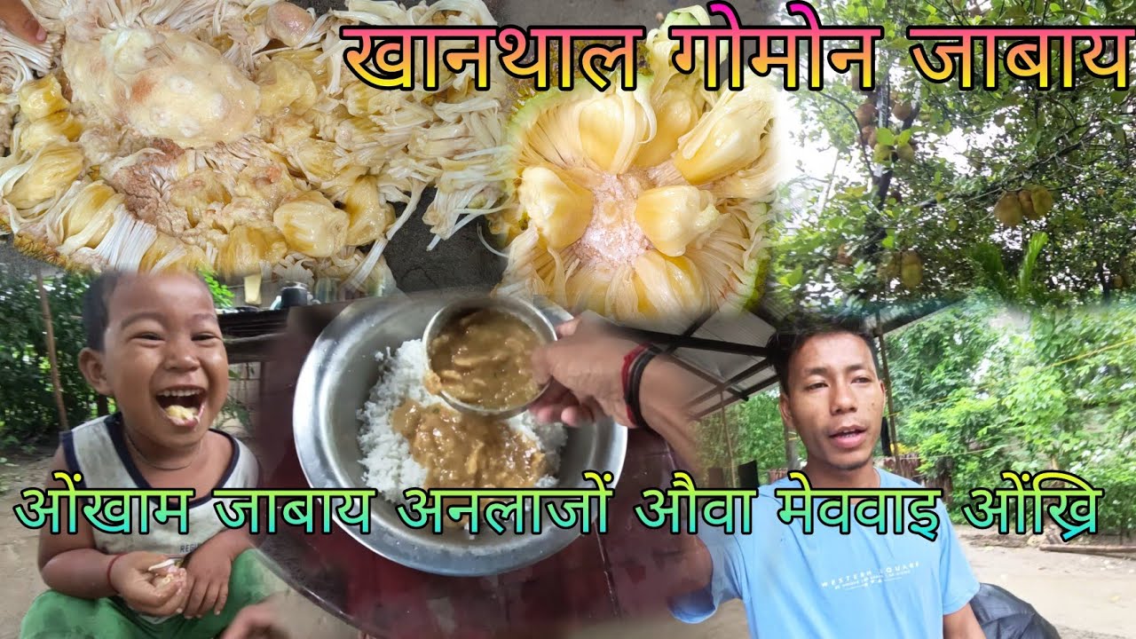 Jackfruit | खानथाल गोमोन जाबाय आरो ओंखाम जाबाय अनलाजों औवा मेववाय ...