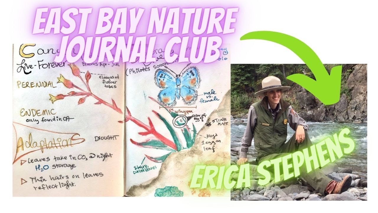 Erica Stephens and the East bay Nature Journal Club - YouTube