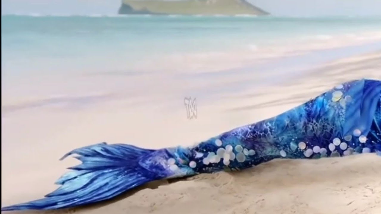 mermaid transformation #3 - YouTube