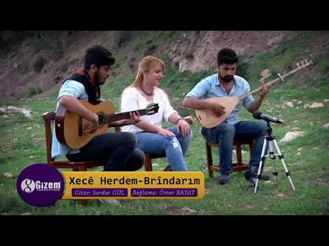xece herdem(2)