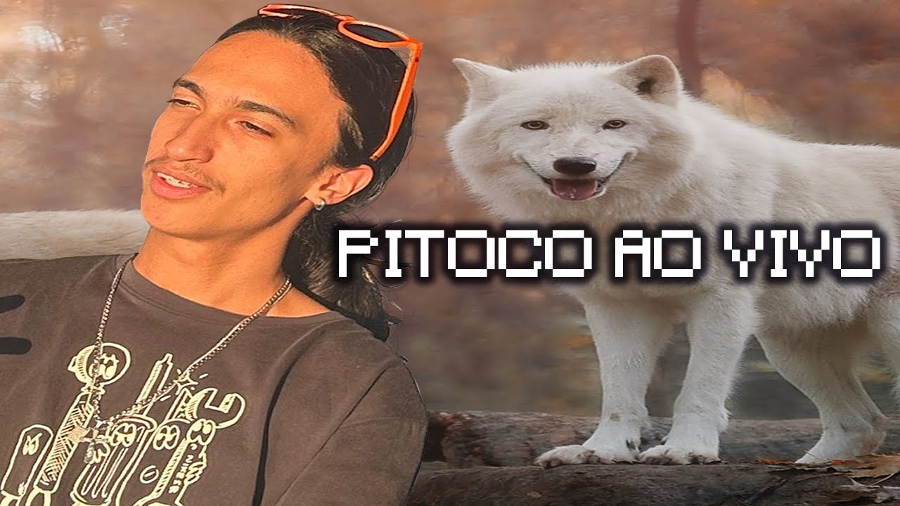 O PITOCO VOLTOU DE VEZ? E AGORA, SERÁ QUE AMANHÃ TEM LIVE? 💅🏽 - YouTube