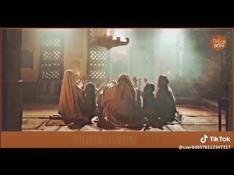 Imam eli