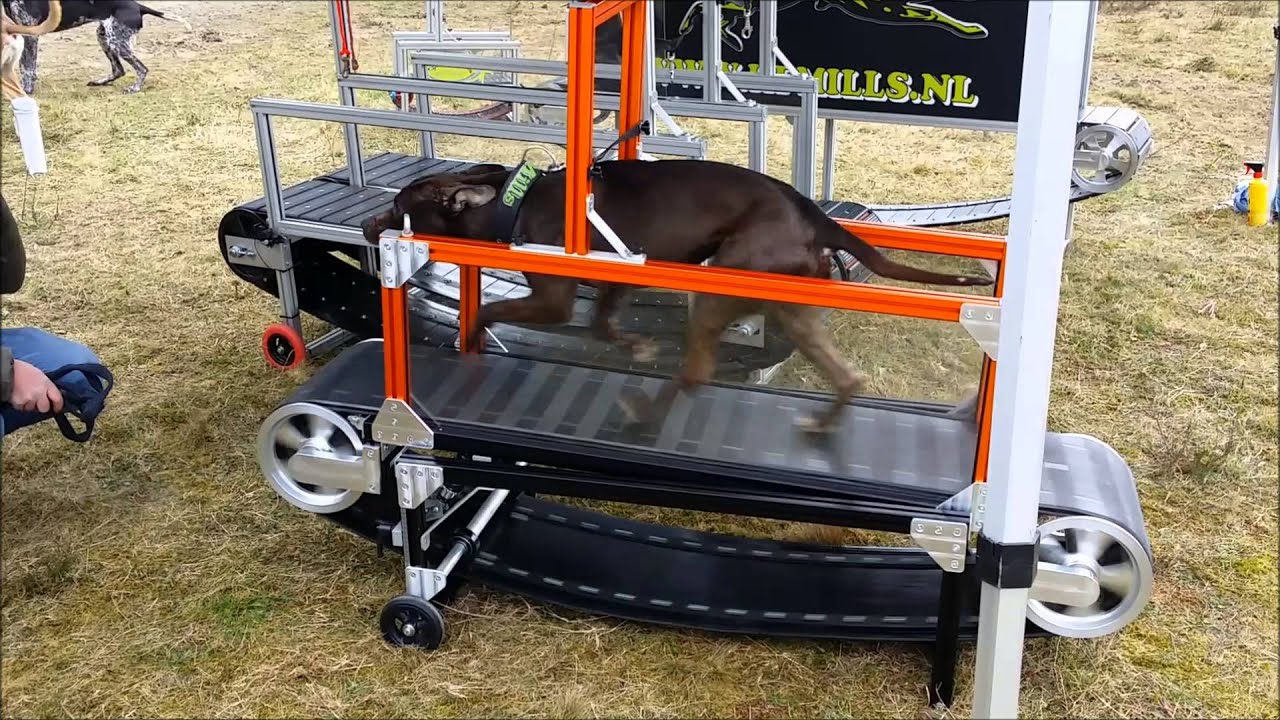 Workshop HF treadmill - YouTube