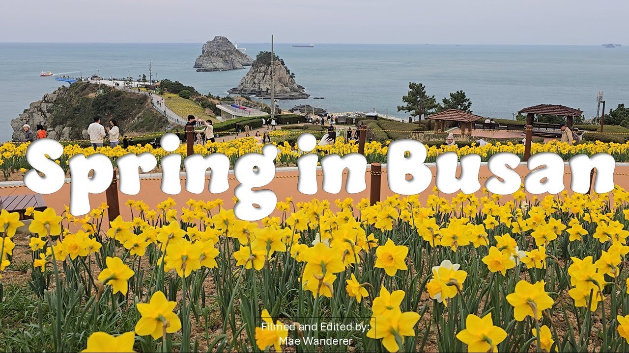 [Spring in Korea] Visited a cafe with cats in Busan | Back to Cafe Itti ...