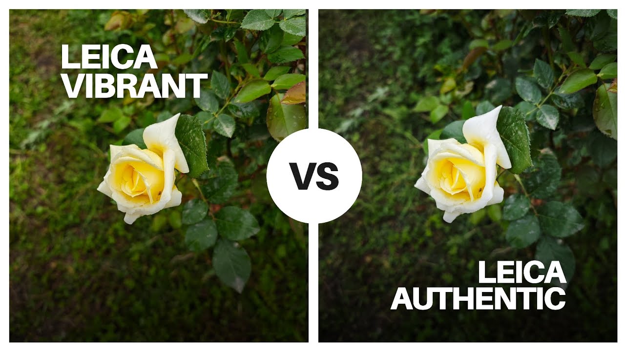 Xiaomi 14 Ultra Camera Test : Leica Vibrant vs Leica Authentic. Care ...