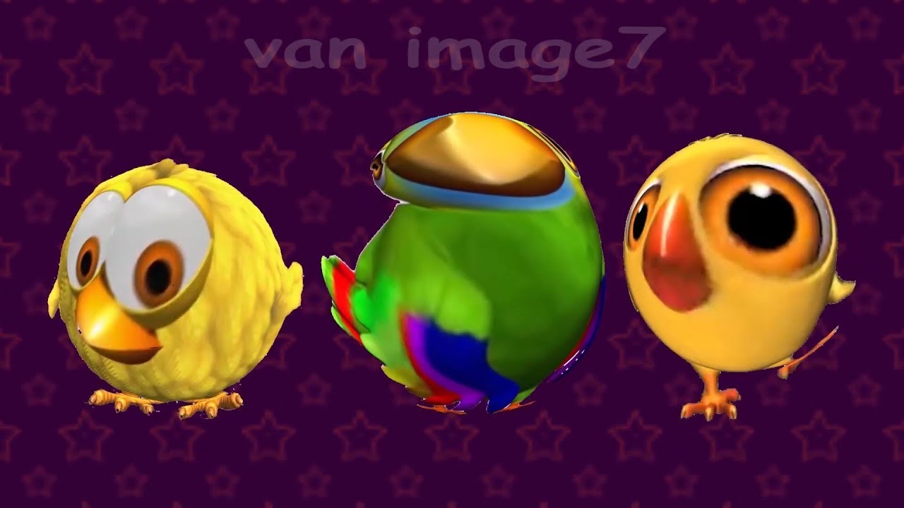 El Loro Pepe y Los Dos Pollitos Bailando Juntos Con Efectos Visuales De ...