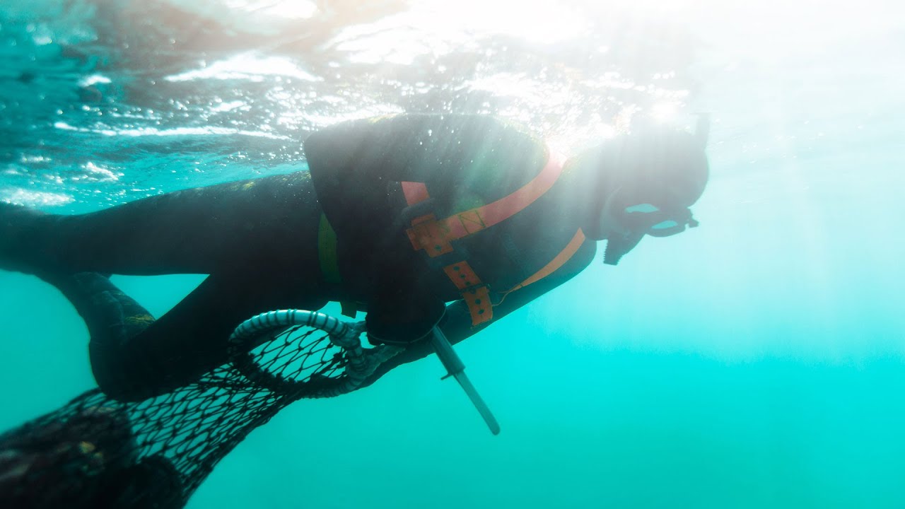 What sort of jobs are available in the fishing industry? - YouTube