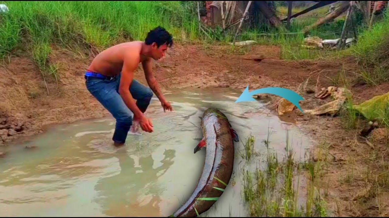 Amazing came to see the rice field but found the fish pond after a big ...