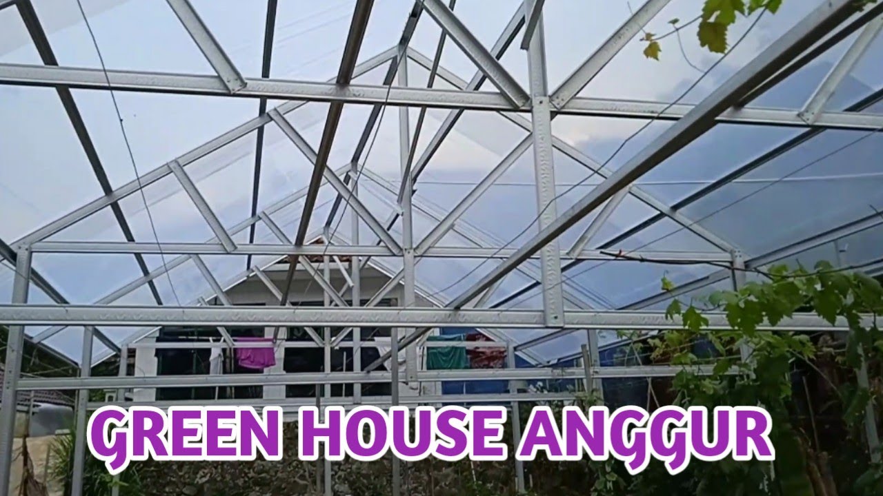 Membuat Green house anggur ukuran 12x6 meter. - YouTube