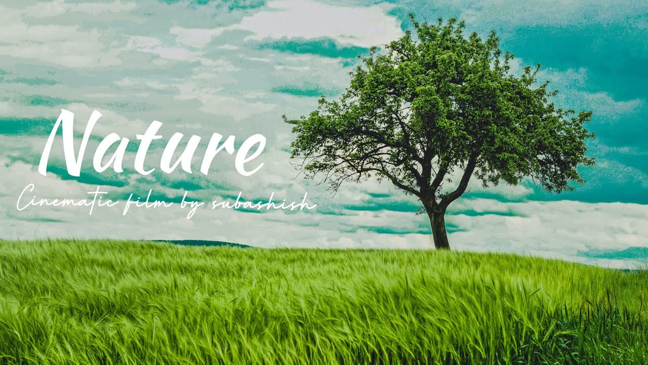 cinematic nature video | in to the nature cinematic travel film ...