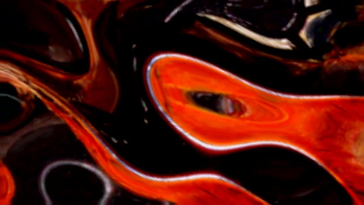 Altered nature music and vertigo visuals from Zanzibar . Feathered and ...