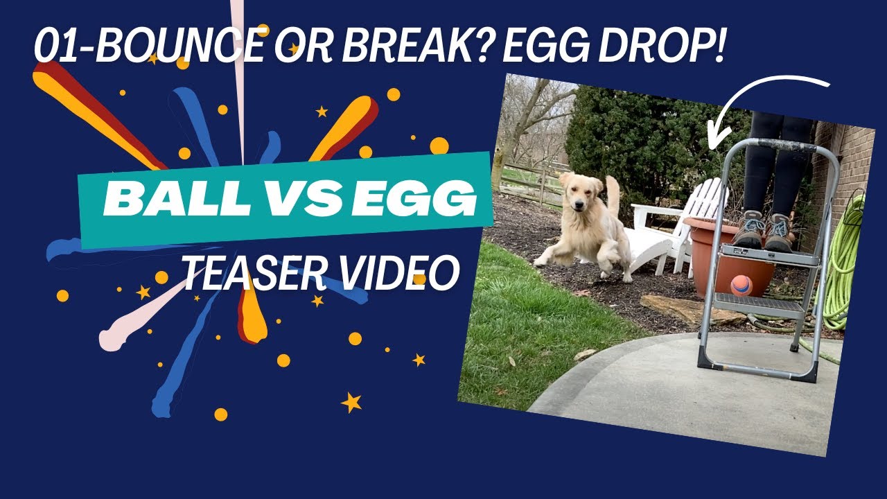 01 - Why do some things bounce and others break? Egg Drop Challenge ...