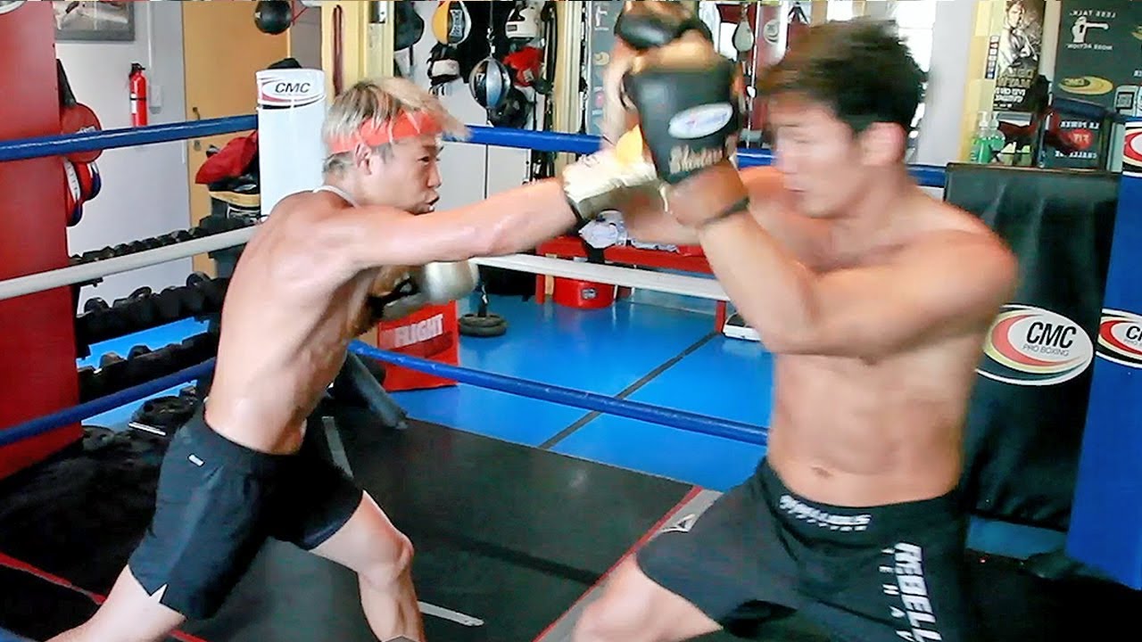 K-1 CHAMPION TAKERU SEGAWA SPARRING! LANDING FAST STRAIGHTS & HOOKS ...