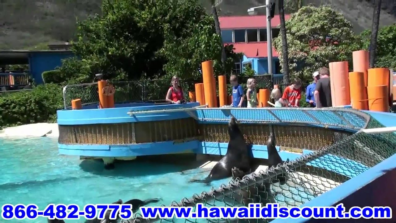 Sea Life Park Oahu Hawaii - YouTube