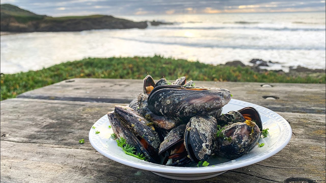 Kids Mussel Forage Catch & Cook - YouTube