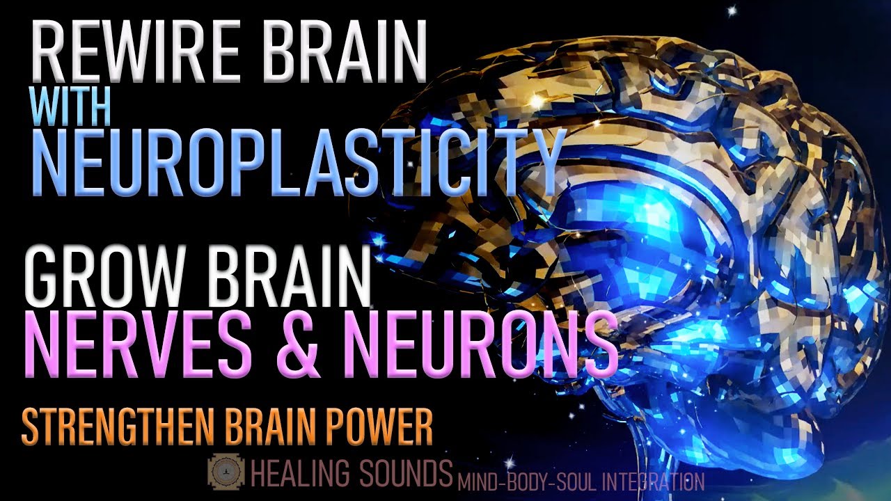 Rewire your Brain with Neuroplasticity | Strengthen your Brain Power ...